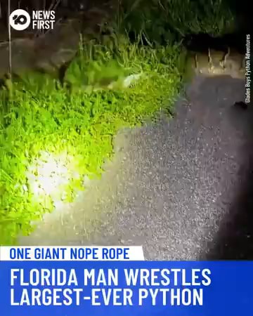 FLORIDA MAN WRESTLES LARGEST-EVER PYTHON - America’s best pics and videos