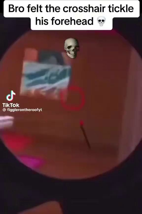 Bro felt the crosshair tickle his forehead TikTok figglerontheroofyt ...