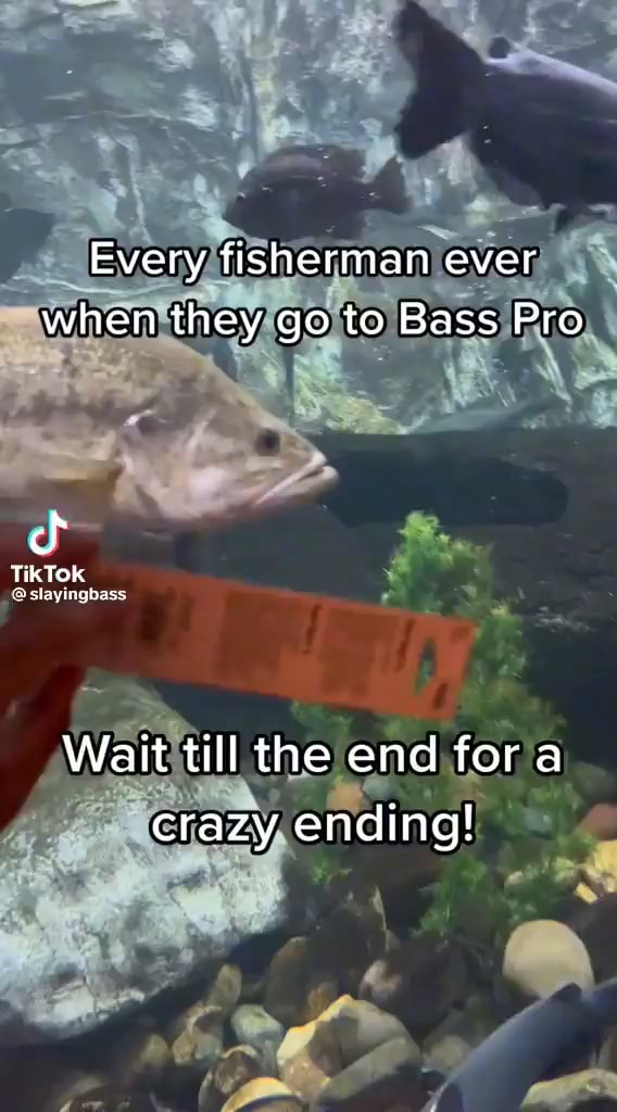 Every fisherman ever when they go to Bass Pro cf Tik ToK stayingbas ...