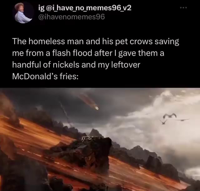 Ig @i_have no memes96 The homeless man and his pet crows saving me from ...