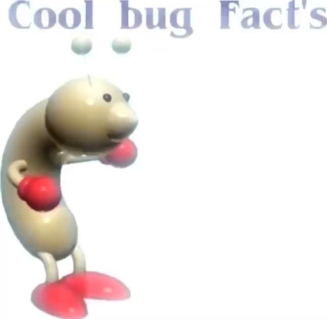 Cool bug Facts - iFunny