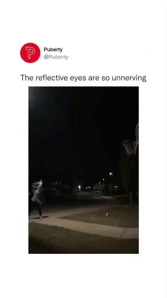 Puberty The reflective eyes are so unnerving - iFunny