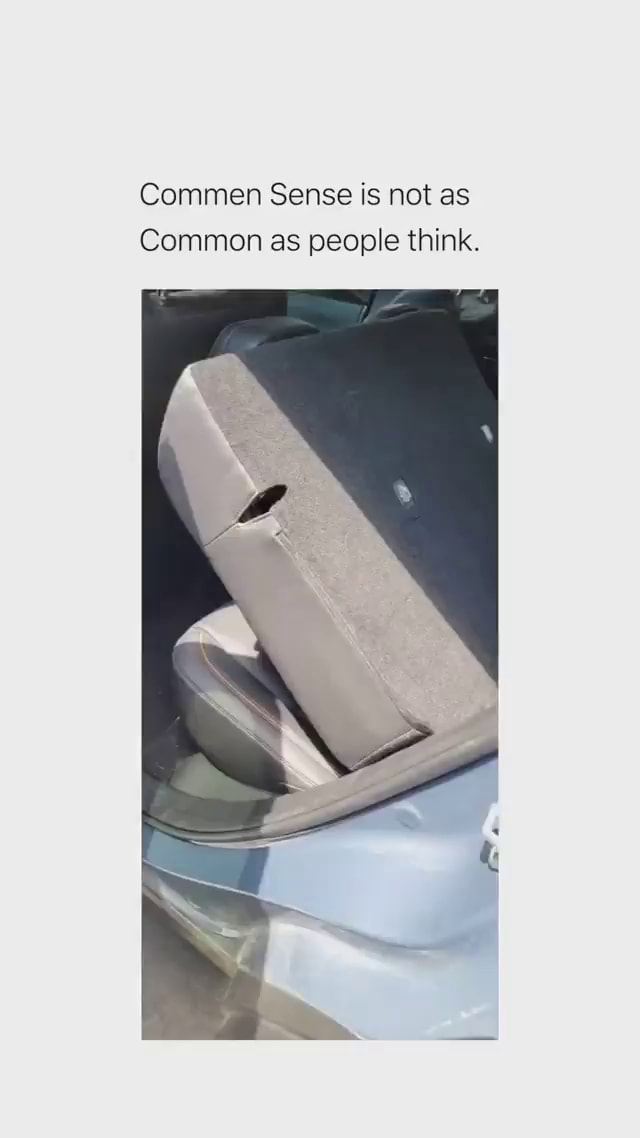 Commen Sense is not as Common as people think. - iFunny