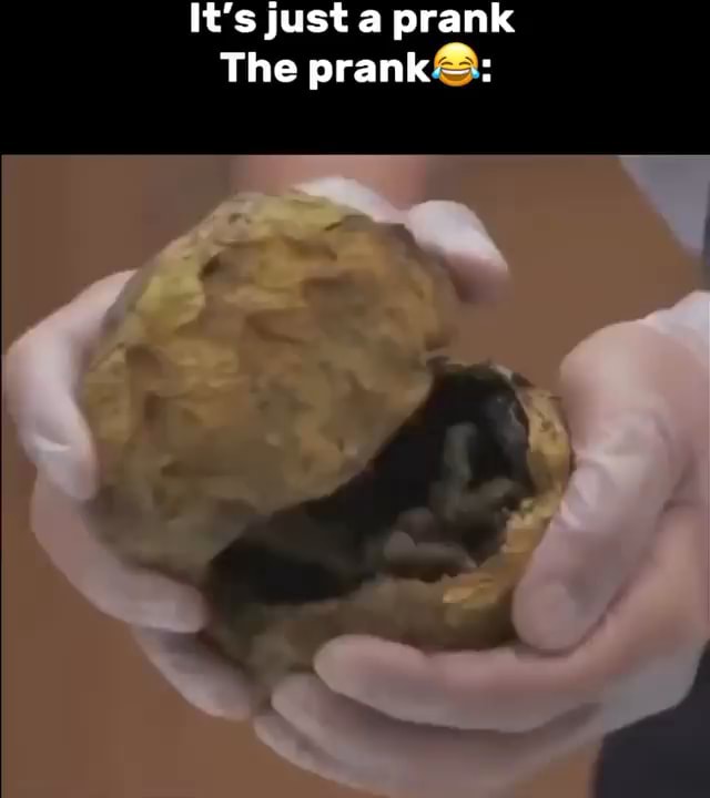 It's just a prank The prank - iFunny