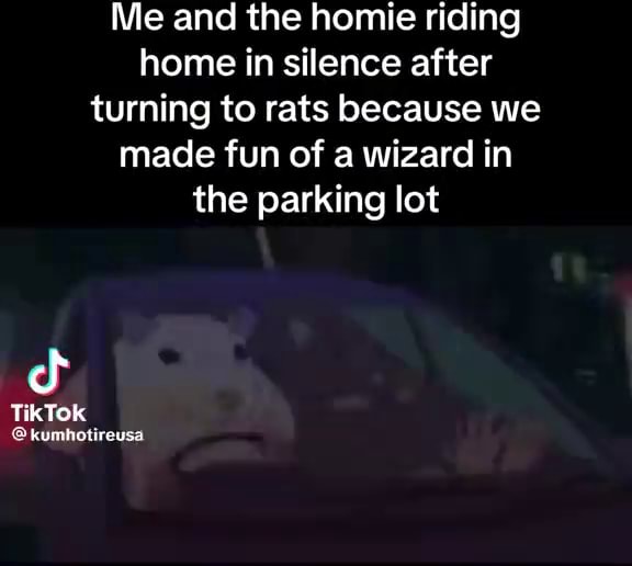 Me and the homie riding home in silence after turning to rats because ...
