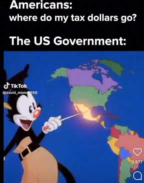 Americans: where do my tax dollars go? The US Government: TikTok ...