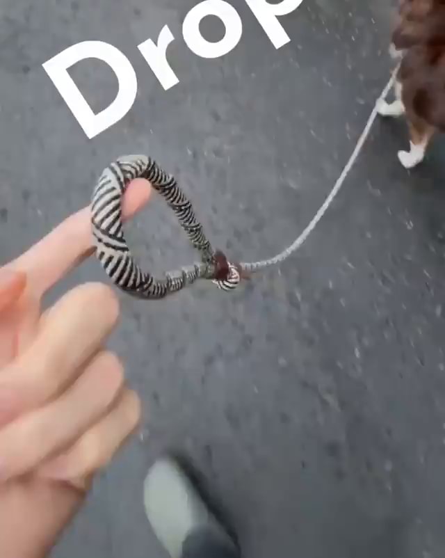 Video memes ClgJRSdZB by harryseeword: 24 comments - iFunny