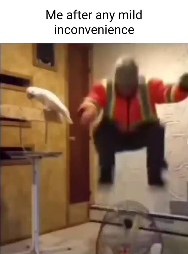 Me after any mild inconvenience - iFunny