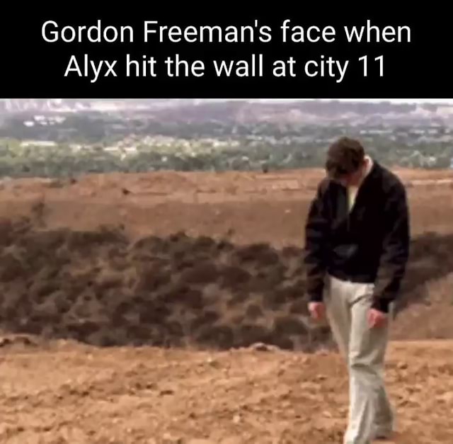 Gordon Freeman's face when Alyx hit the wall at city 11 - iFunny