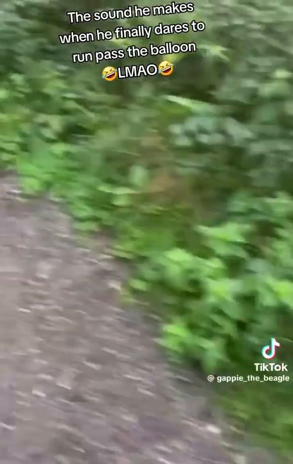 The sound he makes when he finally dares to run pass the balloon LMAO ...