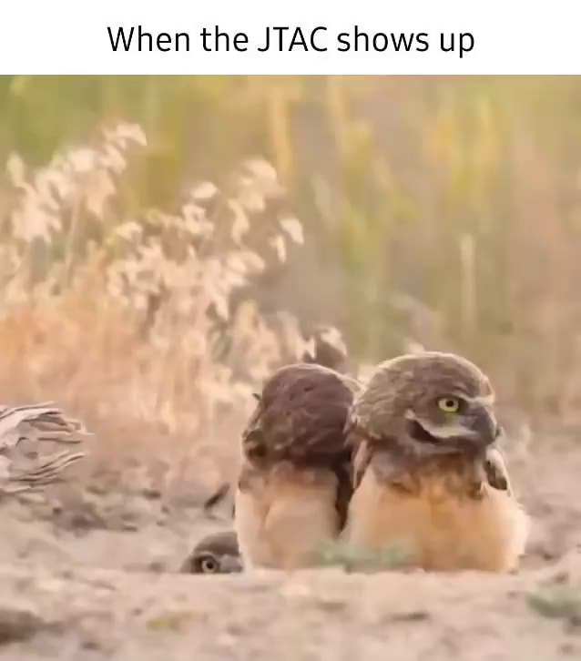 When the JTAC shows up - iFunny