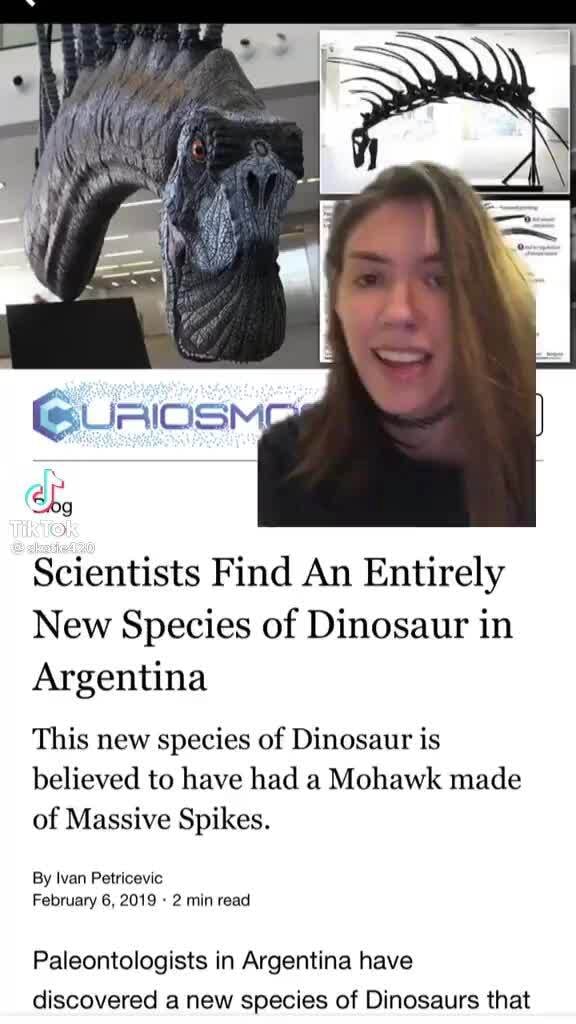 The Scientists Find An Entirely New Species of Dinosaur in Argentina ...