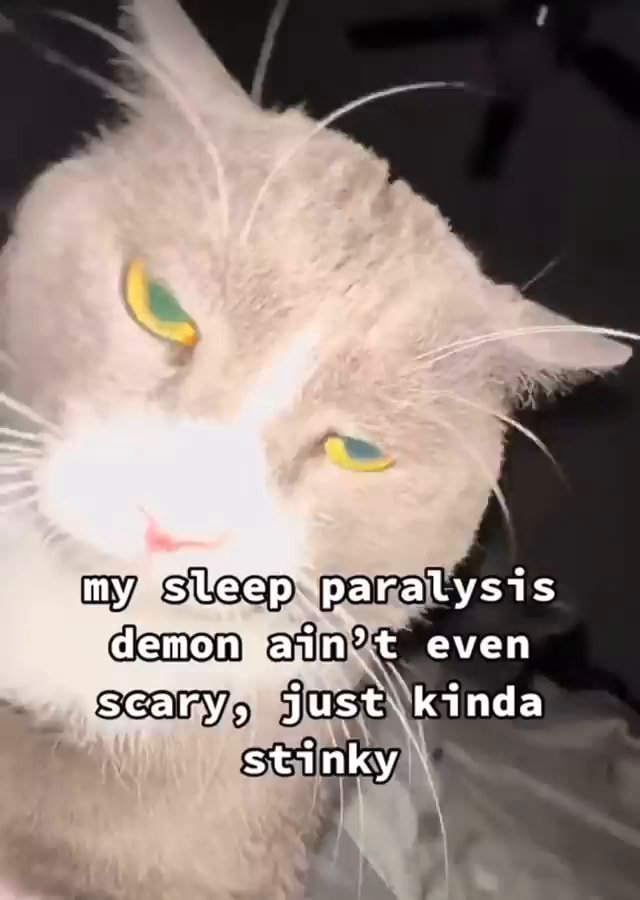 My sleep paralysis demon ain't even sCary, just kinda stinky - iFunny