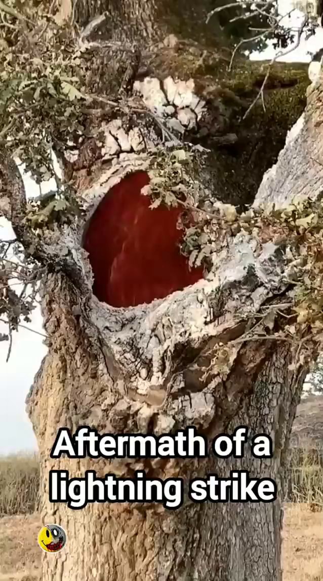 Aftermath of a lightning strike - iFunny