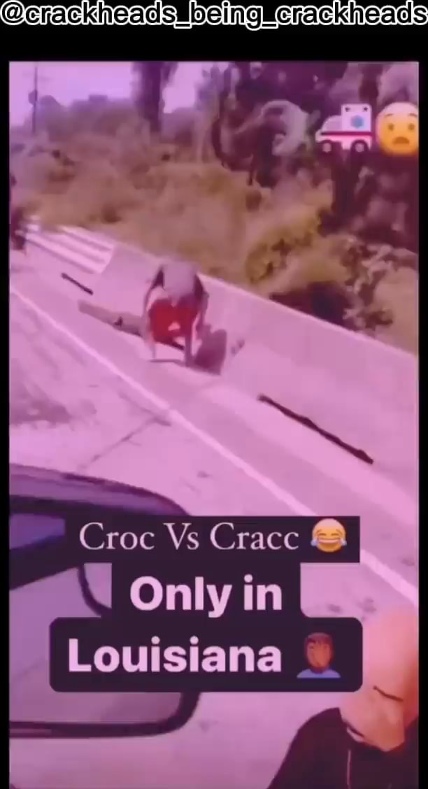 Croc Vs Cracc only in Louisiana - iFunny