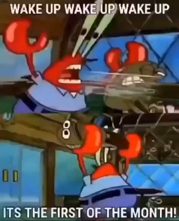 WA WAKE UP ITS THE OF THE MONTH! - iFunny