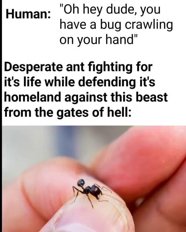 Human: Oh hey dude, you have a bug crawling on your hand" Desperate ant ...