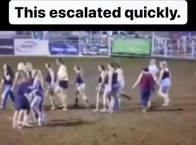 I This escalated quickly. I - America’s best pics and videos