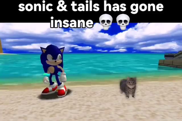 Sonic & tails has gone - iFunny