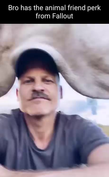 Bro has the animal friend perk from Fallout - iFunny