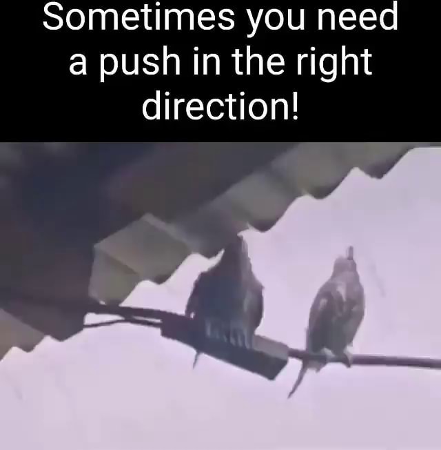 Sometimes you need a push in the right direction! - iFunny