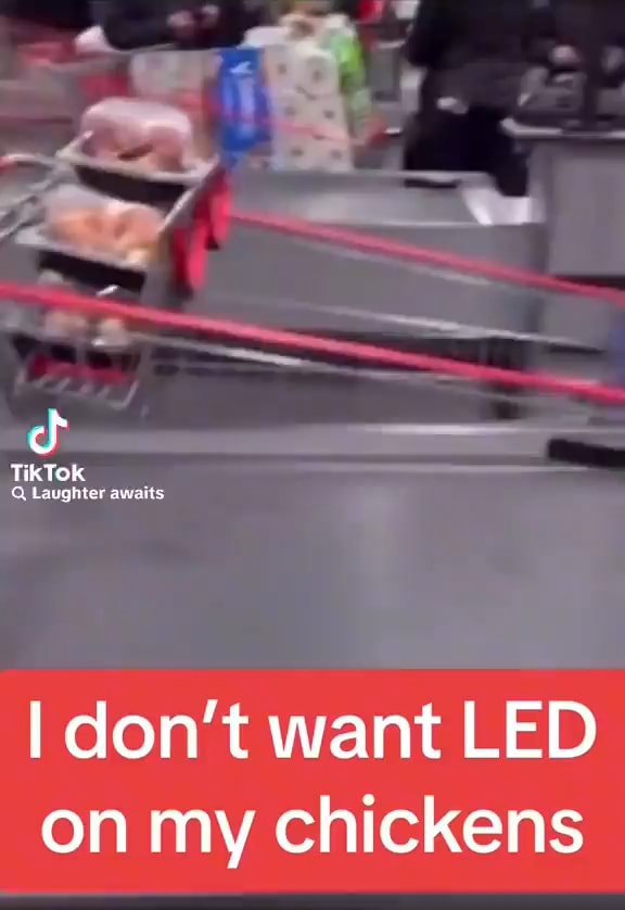 Oe TikTok Laughter awaits I don't want LED on my chickens - iFunny