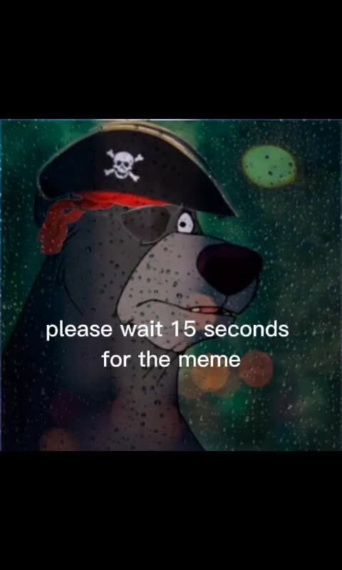 Please wait 15 seconds for the meme - iFunny