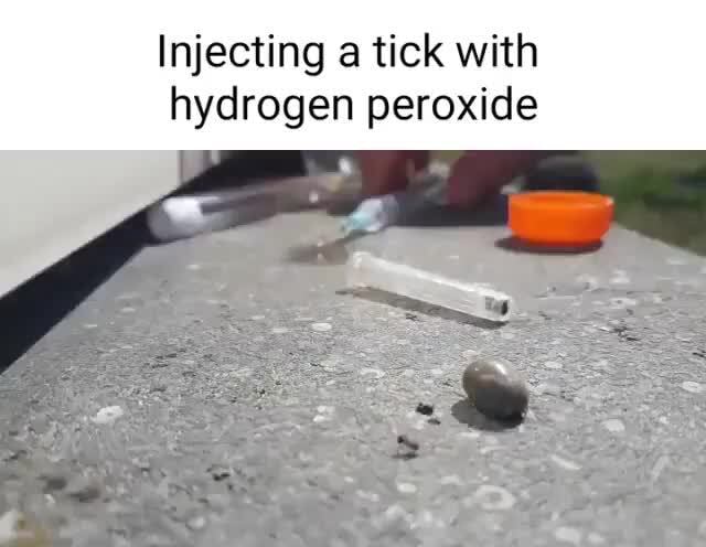 Injecting a tick with hydrogen peroxide - iFunny