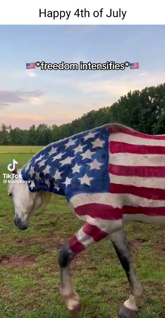 Happy of July *freedom intensifies* Tik - iFunny