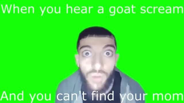 My friend said this line as though it was relatable. So I made a crap ...