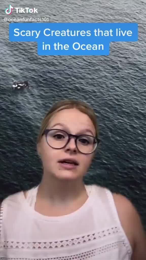 TikTok , Scary Creatures that live ~ in the Ocean - iFunny