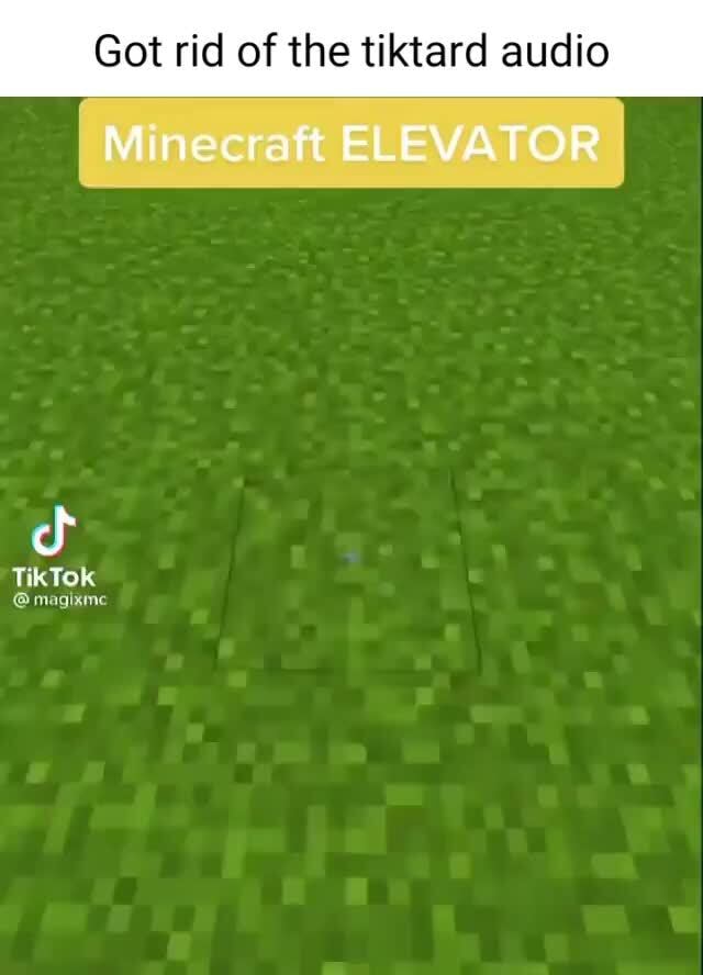 Got rid of the tiktard audio Minecratt ELEVATOR TikTok magixme - iFunny