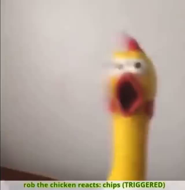 Rob the chicken reacts: chips (TRIGGERED) - iFunny