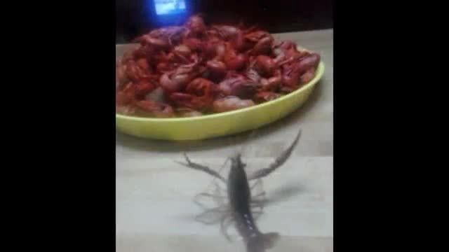 Video memes Ayb40a5X8 by Mass_Extinction: 0.6K comments - iFunny