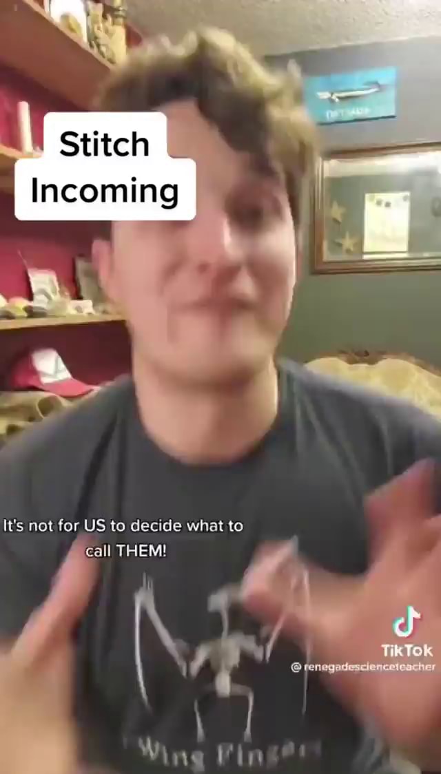 Stitch Incoming It's not for US to decide what to call THEM! - iFunny