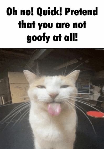 Oh no! Quick! Pretend that you are not goofy at all! - iFunny