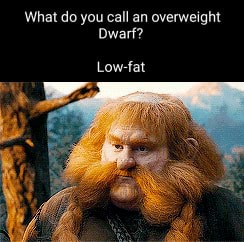 What do you call an overweight Dwarf? Low-fat - iFunny