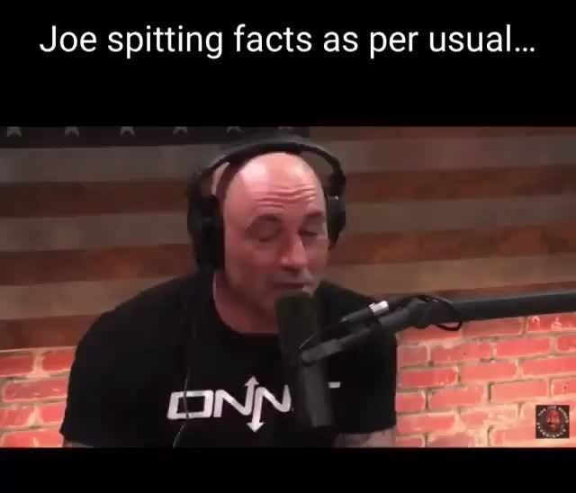 Joe spitting facts as per usual... - iFunny