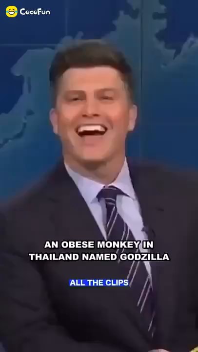AN OBESE MONKEY IN THAILAND NAMED GODZILLA ALL THE CLIPS - iFunny