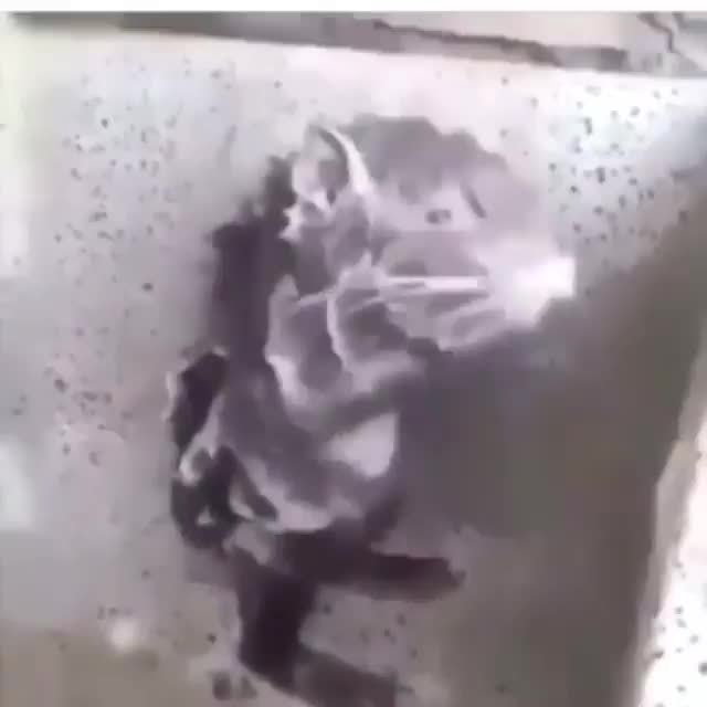 Dank Memes on Instagram: “Good morning” - iFunny