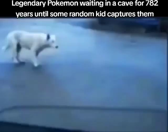 Legendary Pokemon waiting in a cave for 782 years until some random kid ...