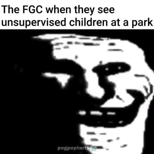 The FGC when they see unsupervised children at a park - iFunny