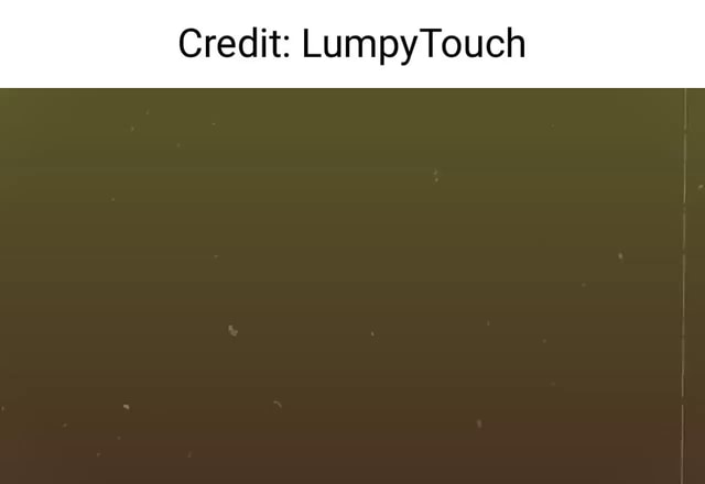 Credit: LumpyTouch - iFunny