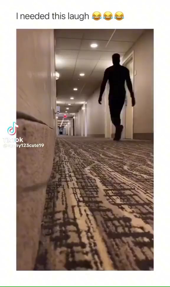 Needed this laugh - iFunny