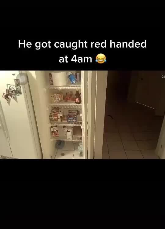 He got caught red handed - iFunny
