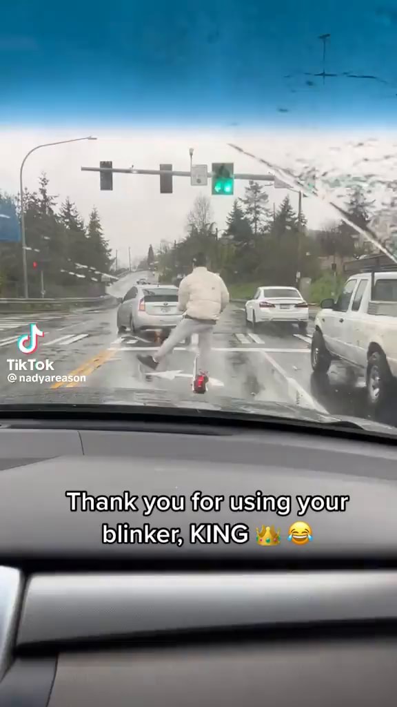 Of TikTOk NS nadyareason Thank you for using your blinker, KING - iFunny