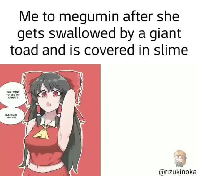 Me to megumin after she gets swallowed by a giant toad and is covered ...