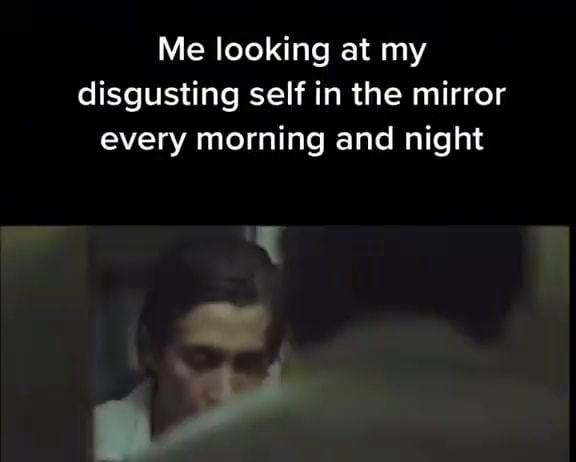 Me looking at my disgusting self in the mirror every morning and night ...