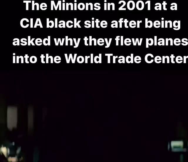 The Minions in ZOO at CIA black site after being asked why they flew ...