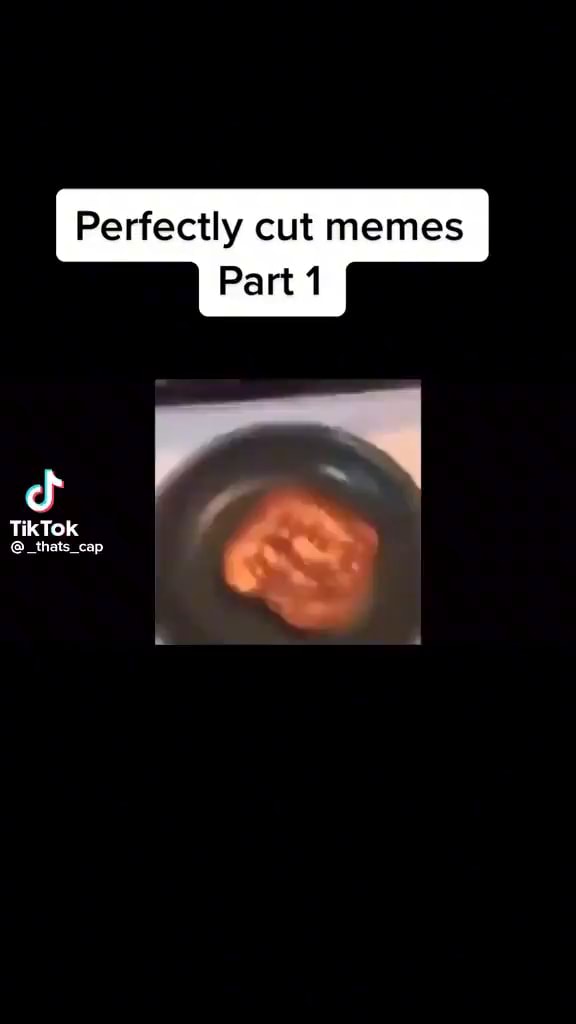 Perfectly cut memes Part 1 TikTok cap - iFunny